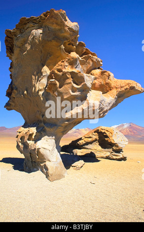 Bolivia Stone Tree - Avaroa National Reserve Stock Photo - Alamy