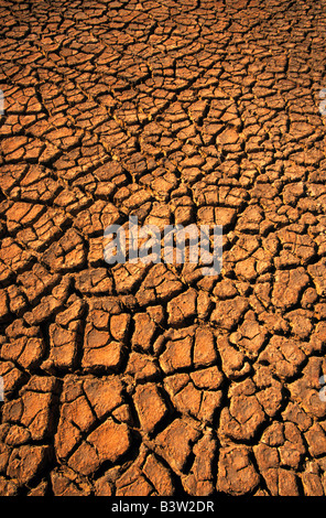 Cracked dried mud patterns and sand dunes in the morning, Mesquite Flat ...
