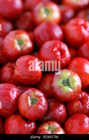West Indian cherries / acerola cherries / Barbados cherry (Malpighia ...