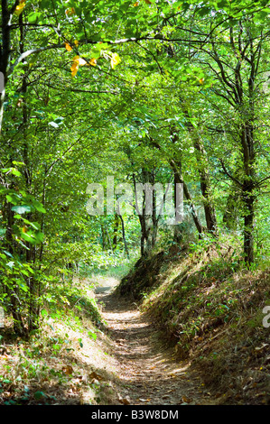 Footpath in the countryside in Brittany Stock Photo - Alamy