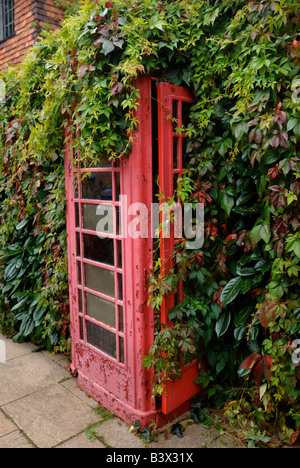 AN OLD STYLE OVERGROWN BRITISH TELEPHONE BOX WITH PEELING RED PAINT UK ...