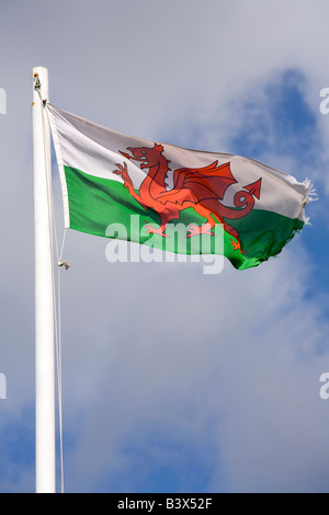 Welsh flag with red dragon flying in Solva, an attractive village along ...