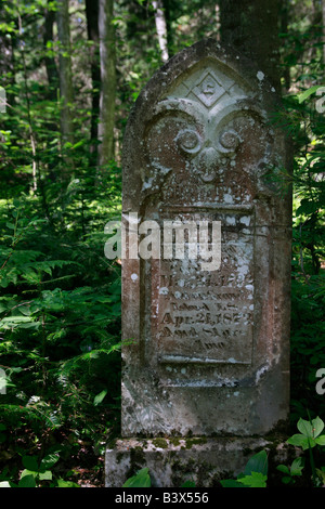 Abraham Williams tombstone on The Grand Island with US flag Michigan ...