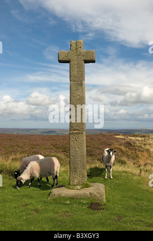 Young Ralphs Cross in summer Blakey Road North York Moors National Park ...