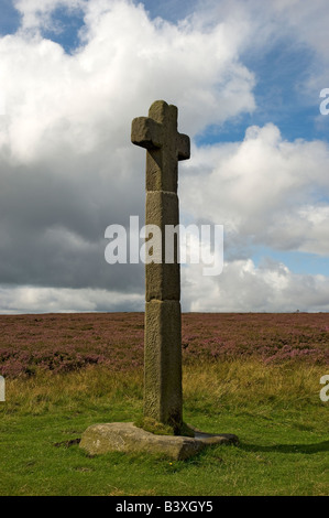 Young Ralphs Cross in summer Blakey Road North York Moors National Park ...