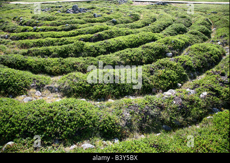 Prehistoric stone labyrinth on the Zayatsky islands close to the ...