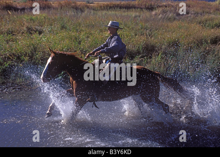 Cowboy running horse through water at Sombrero Ranch, Craig Stock Photo ...