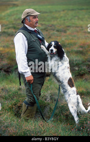 Scotland, Caithness. Walked up Grouse shooting on the Strathmore Estate ...