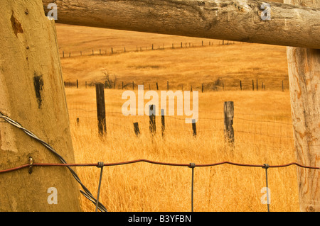 USA, Montana. Old fence framing other fences in prairie Stock Photo - Alamy