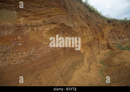 Layers strata Red Crag sedimentary rock in former quarry pit Sutton ...
