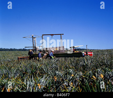 geography / travel , Australia, Queensland, farming / agriculture ...