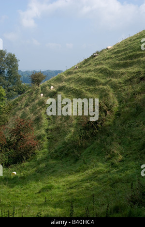 Sheep formed terraces on steep grazing land in Derbyshire Stock Photo ...