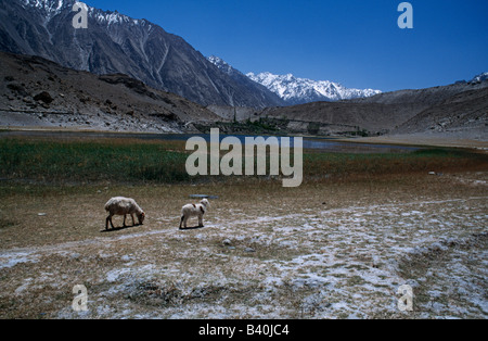 Borit Lake near Ghulkin, Upper Hunza valley, Pakistan Stock Photo - Alamy