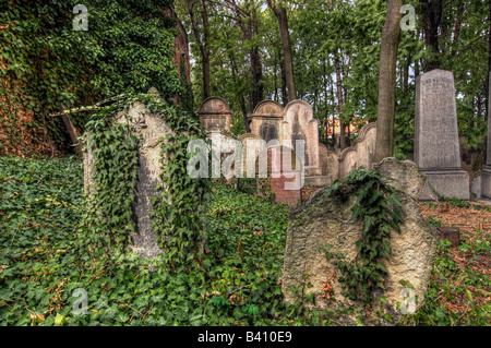 Old Jewish cemetery at Kolin one of the oldest landmarks of that kind ...