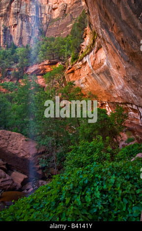 Emerald pool Hike, Zion NP Stock Photo - Alamy