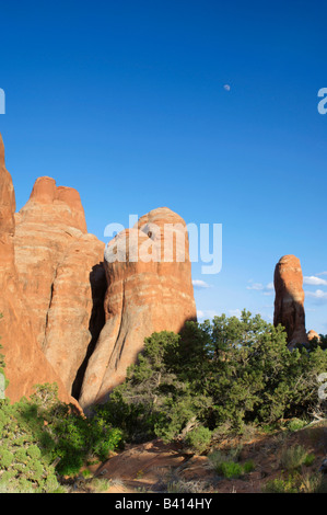 Moon over Devils Tower National Monument, Wyoming Stock Photo - Alamy