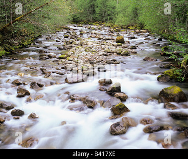 WA, Ross Lake NRA, Newhalem Creek Stock Photo - Alamy