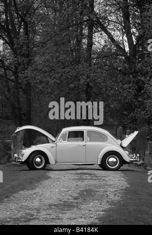 Volkswagen Beetle side view profile picture Stock Photo - Alamy