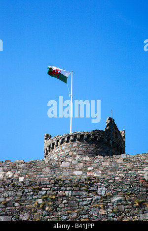 welsh flag in snowdonia wales Stock Photo - Alamy