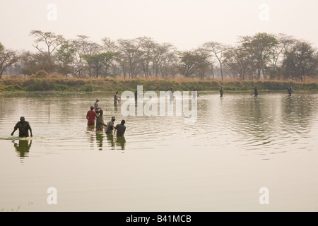 Harvesting tilapia fish from ponds at Kafue Fisheries the largest ...