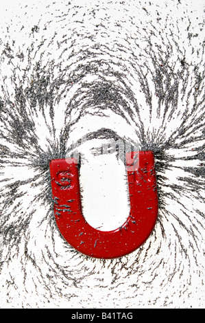 Iron filings arranged in the magnetic field around a horseshoe magnet ...