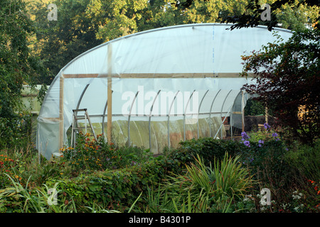 NEWLY ERECTED POLYBUILD 8M POLYTUNNEL CLAD WITH 720G VISQUEEN Stock ...
