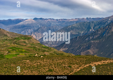 The Colca Canyon, Arequipa, Peru Stock Photo - Alamy