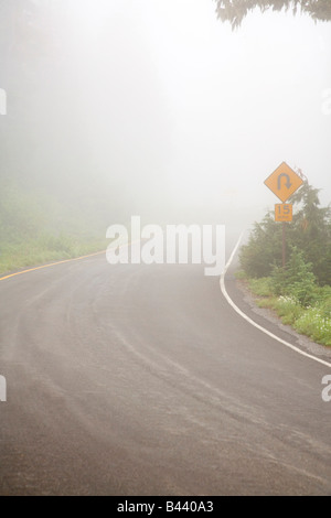 Foggy road, Mount Rainier National Park, Washington, USA Stock Photo ...