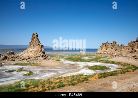 Lac Abbe (Lake Abhe Bad) with its chimneys, Republic of Djibouti Stock ...