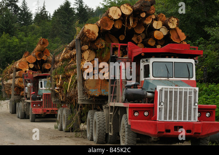 Loaded logging truck British Columbia Canada Stock Photo - Alamy