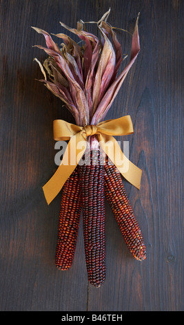 corn on the cob tied up with a pink ribbon vegetable Stock Photo - Alamy