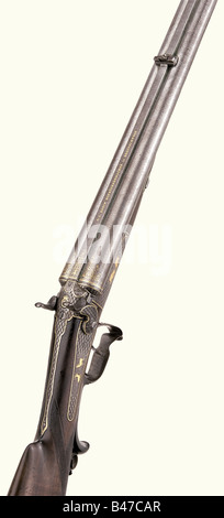 A luxury combination gun, G.L. Rasch, gunsmith in the service of ...