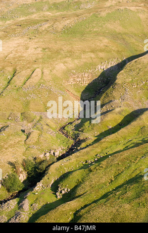 Limestone on fellside in Swaledale Taken from the Buttertubs Pass ...