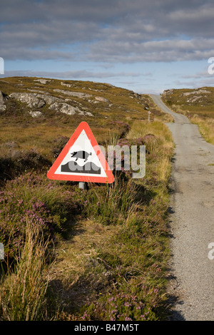 Road Warning Sign- Pigs Stock Photo - Alamy