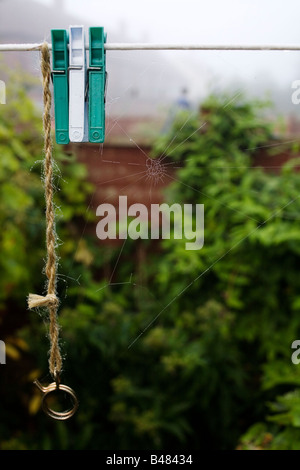 A spiders web on clothes pegs on a washing line Stock Photo - Alamy