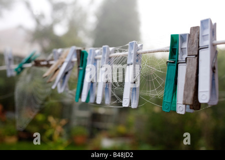 A spiders web on clothes pegs on a washing line Stock Photo - Alamy