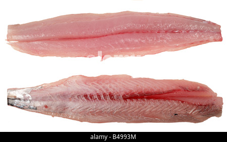 A narrow-barred Spanish mackerel, Scomberomorus commerson, Fiji. These ...
