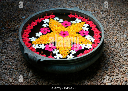 Floral art ( floating flowers) of Kerala,India Stock Photo - Alamy