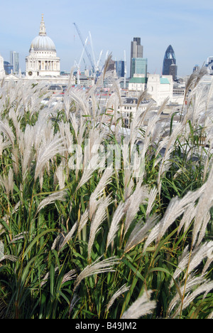 100 Victoria Embankment, London, UK. Global headquarters of Unilever ...