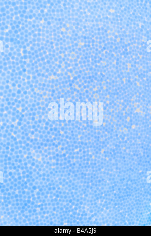 Styrofoam texture close up Stock Photo - Alamy