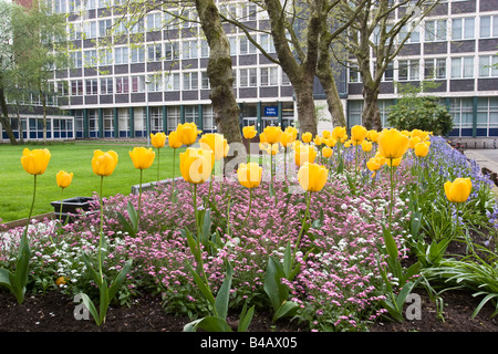 Pariser Building University of Manchester UK Stock Photo - Alamy