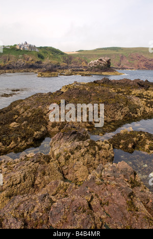 Rugged Rocks of St Abbs Stock Photo - Alamy