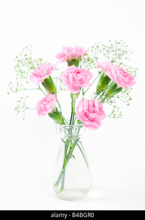 Vase of pastel pink carnation flowers on wooden table Stock Photo - Alamy