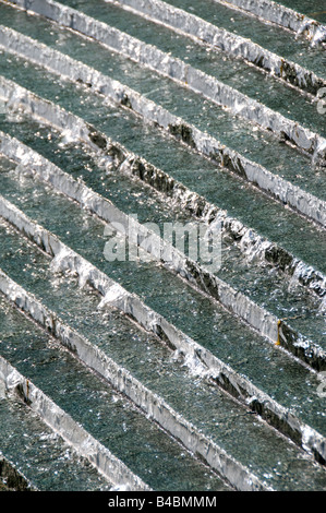 Turkey on water Stock Photo - Alamy