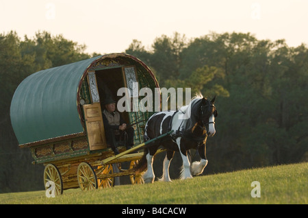 Gypsy caravan or living wagon pulled by Gypsy Vanner horse Stock Photo ...
