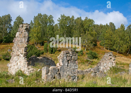 Ruined Cottage at Sluggan on the River Dulnain Reidhaven Seafield Stock ...