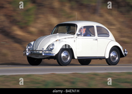 Car, VW, Volkswagen, beetle 1300, model year 1965-1973, white, vintage ...