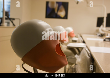 Dental Simulation Laboratory at ULACIT Stock Photo - Alamy