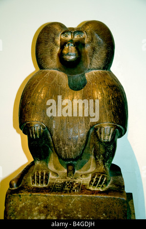 Statue of the god Thoth as a baboon, ancient Hermopolis, Ashmunein ...