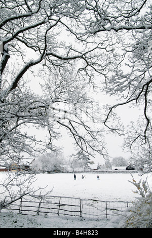 Winter scene in scenic countryside area with line of bare trees ...